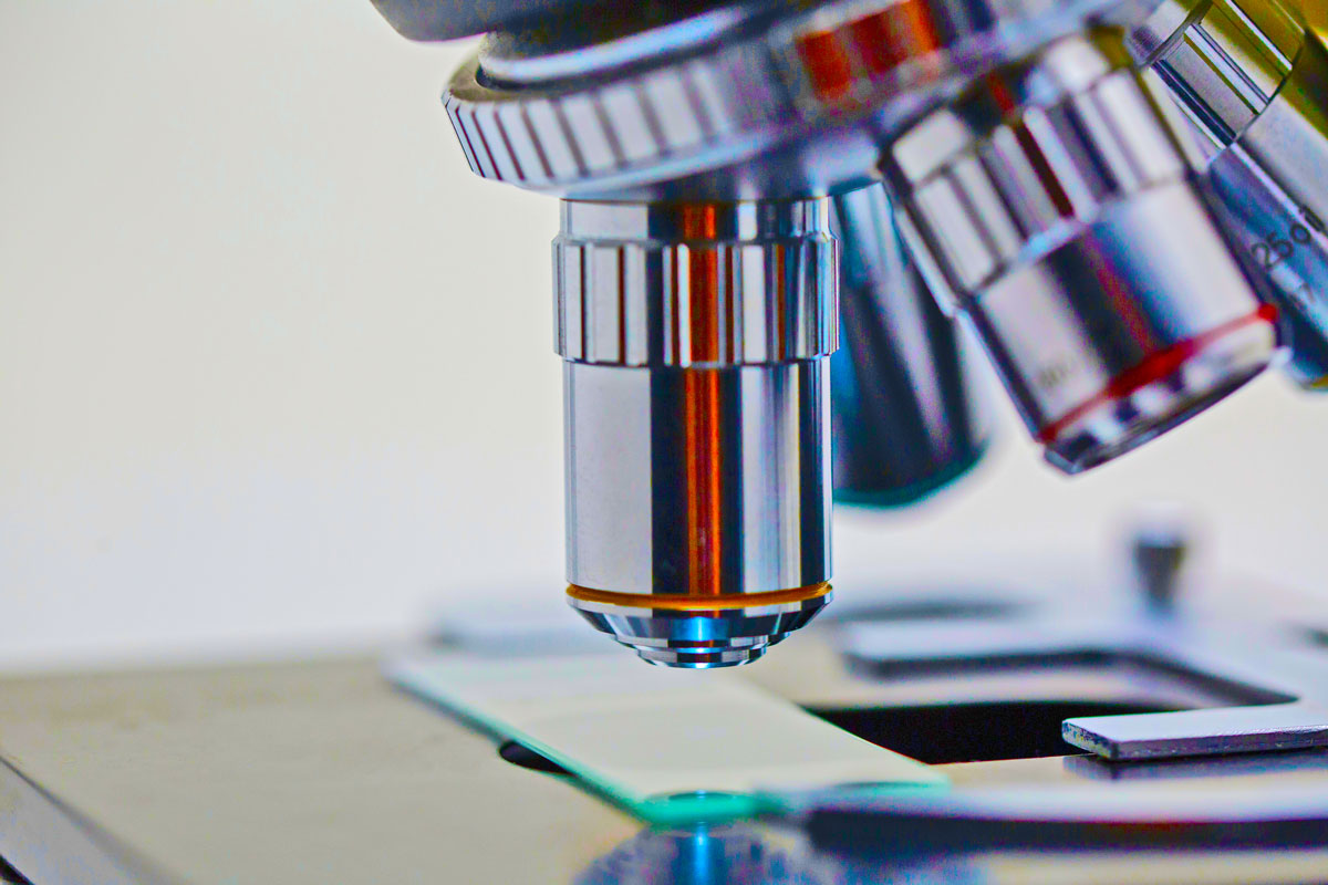 New Strategy Halts Triple Negative Breast Cancer Growth Mirage News