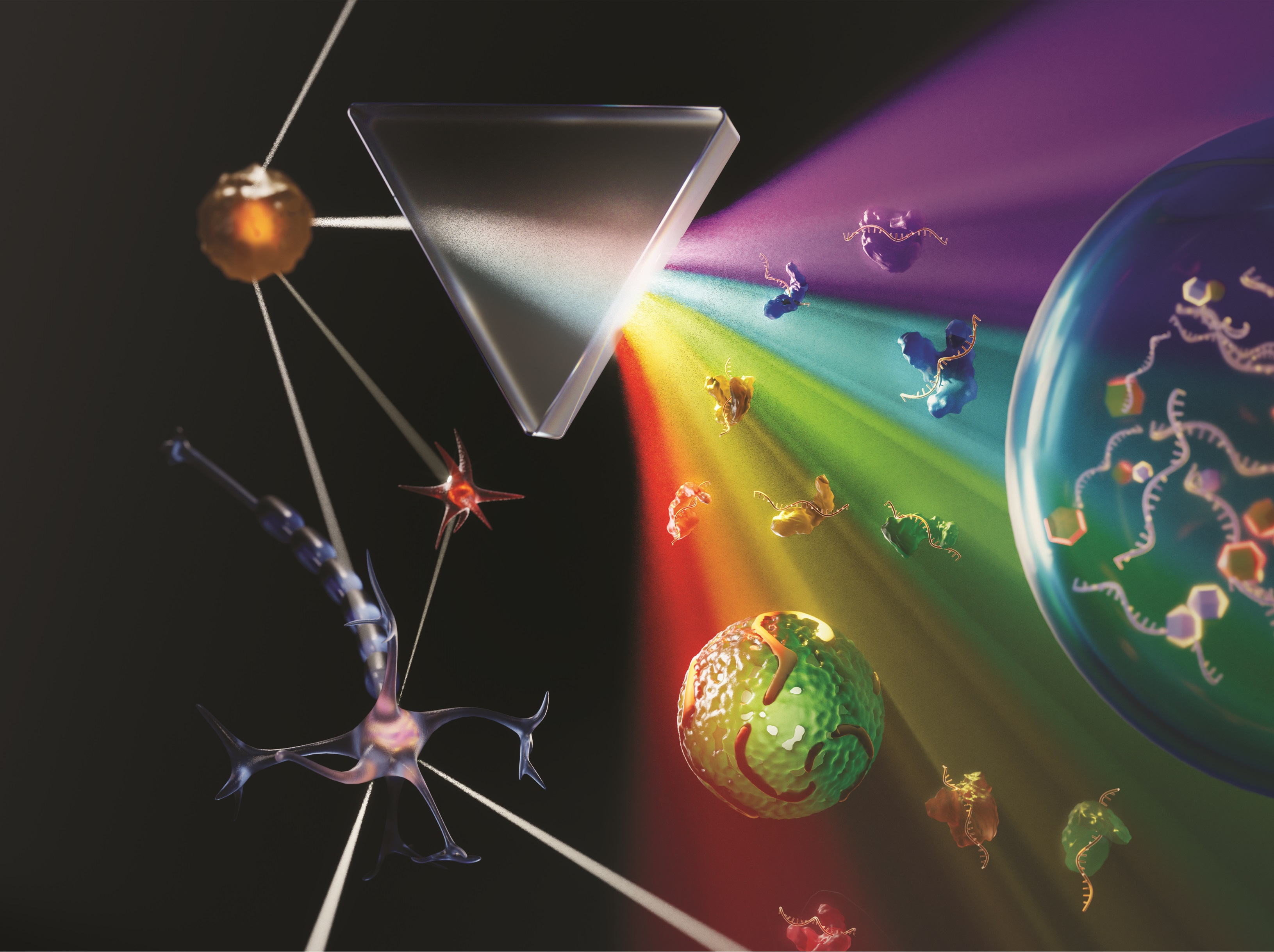 Researchers reveal a map to study novel form of cell-to-cell ...