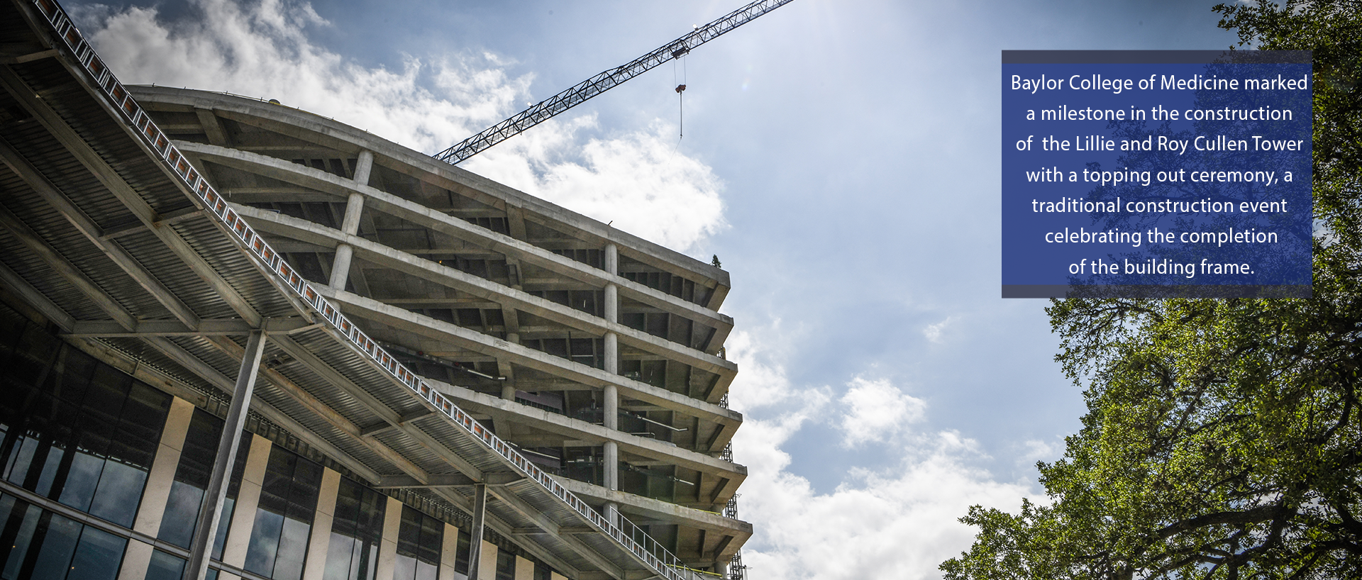 Welcome to Baylor College of Medicine | BCM