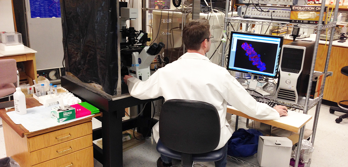 Anesthesiology Research Lab