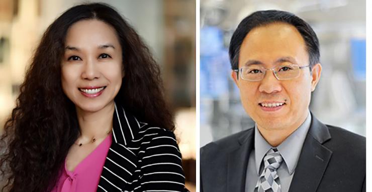 Drs. Yao and Chen Funded Over $1M in VA Merit Award